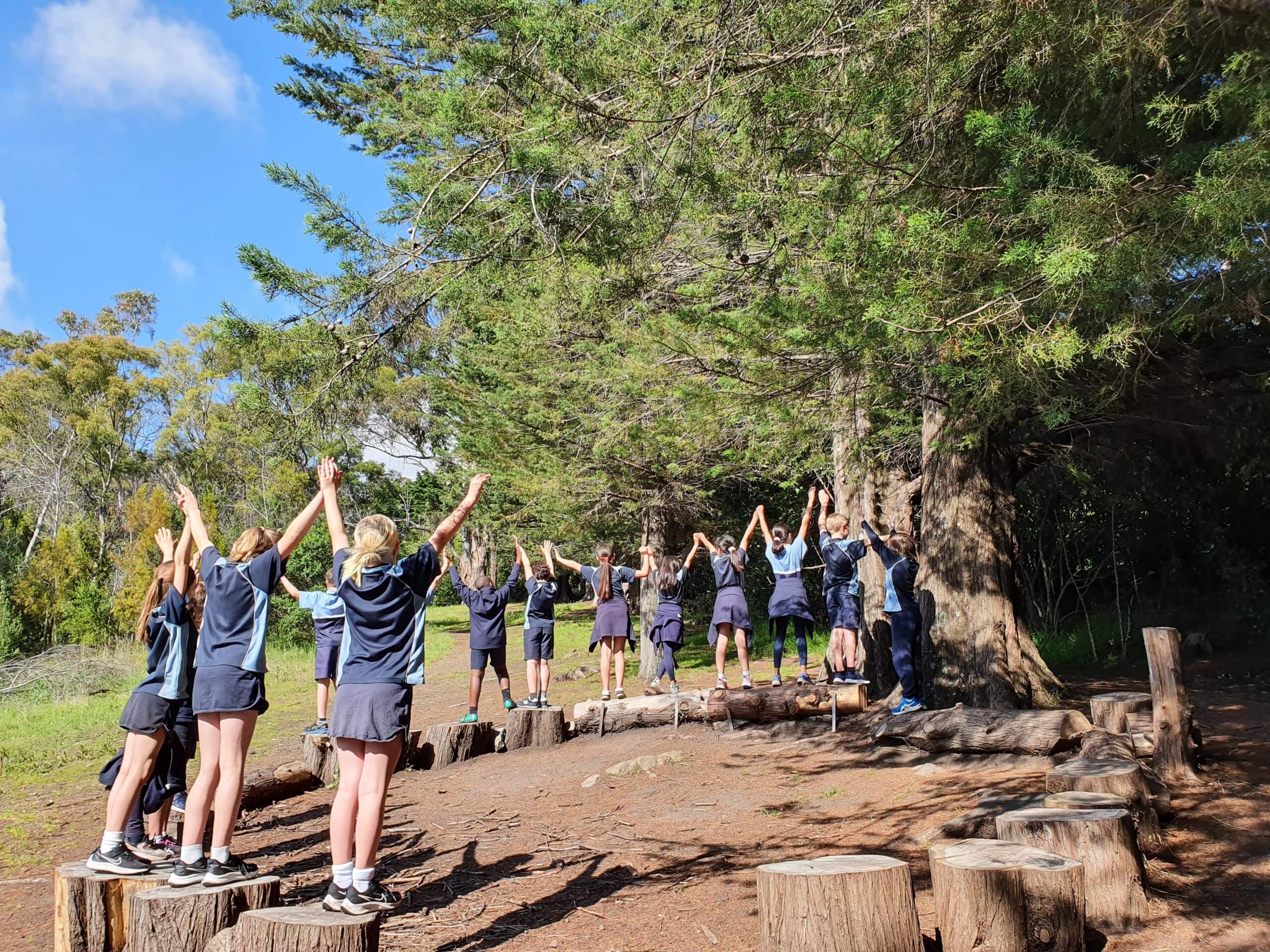 Waimea Heights Primary 3/4BA WHPS - Curious Climate